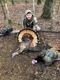 Pics: Check Out These Cool Cinnamon Color-Phase Turkeys - Wide Open Spaces