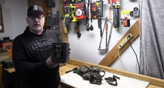 This Guy Captures The Coolest Trail Camera Pictures - Wide Open Spaces