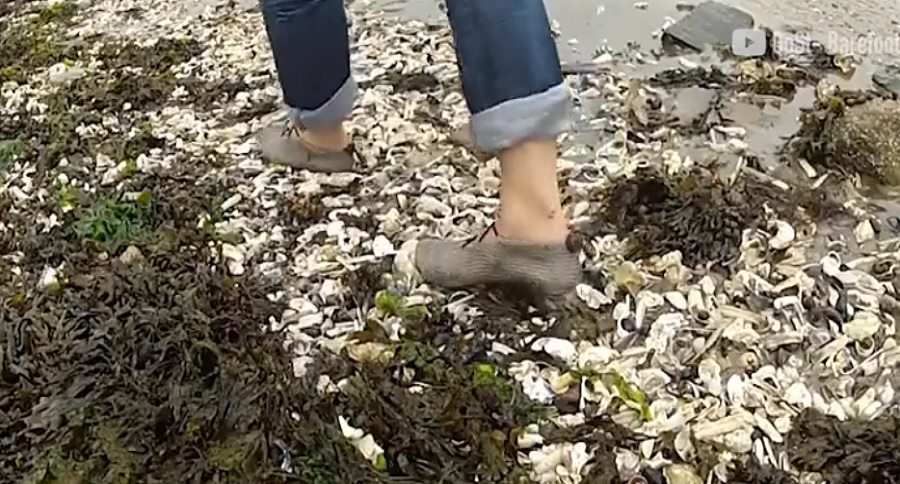 Would You Buy Chainmail Socks? - Wide Open Spaces