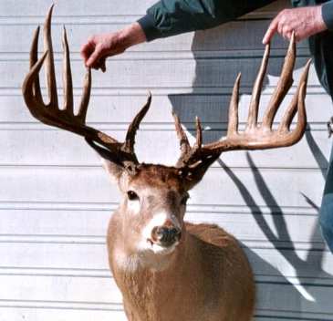 #WhitetailWednesday: 8 World Class Bucks You May Have Never Heard of ...