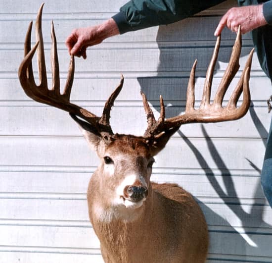 #WhitetailWednesday: 8 World Class Bucks You May Have Never Heard of ...