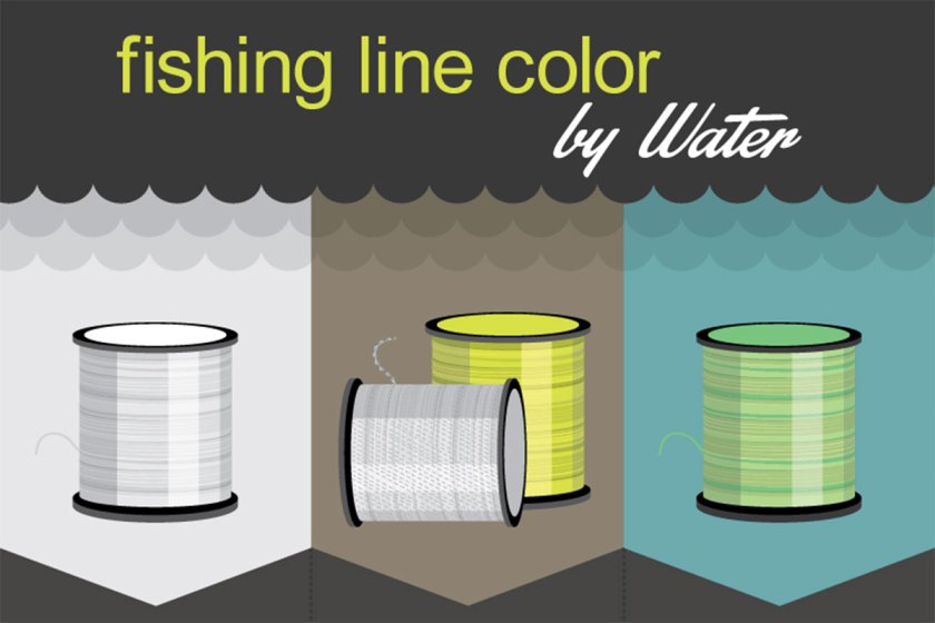 How Well Do Fish See Different Fishing Lines Underwater? - Wide Open Spaces