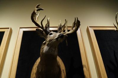 #WhitetailWednesday: 9 Hunters Who Were Spoiled for Life by a Record ...