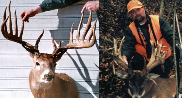 #WhitetailWednesday: 8 World Class Bucks You May Have Never Heard of ...