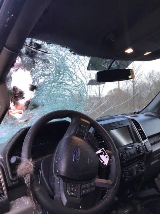 Look at the Insane Damage This Turkey Did After Being Hit by a Pickup ...