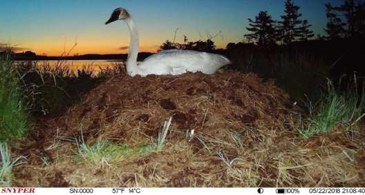 10 Unexplainable Things Captured on Trail Camera - Wide Open Spaces