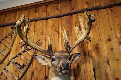 The General: The World Record Nebraska Whitetail Known Only By Sheds