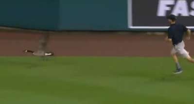 Rally Goose Now a Legitimate Thing for the Detroit Tigers - Wide Open ...