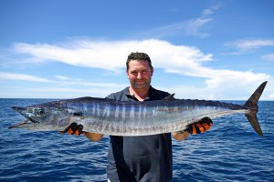Big Saltwater Fish Species That Make Sport Fishing Worth the Investment