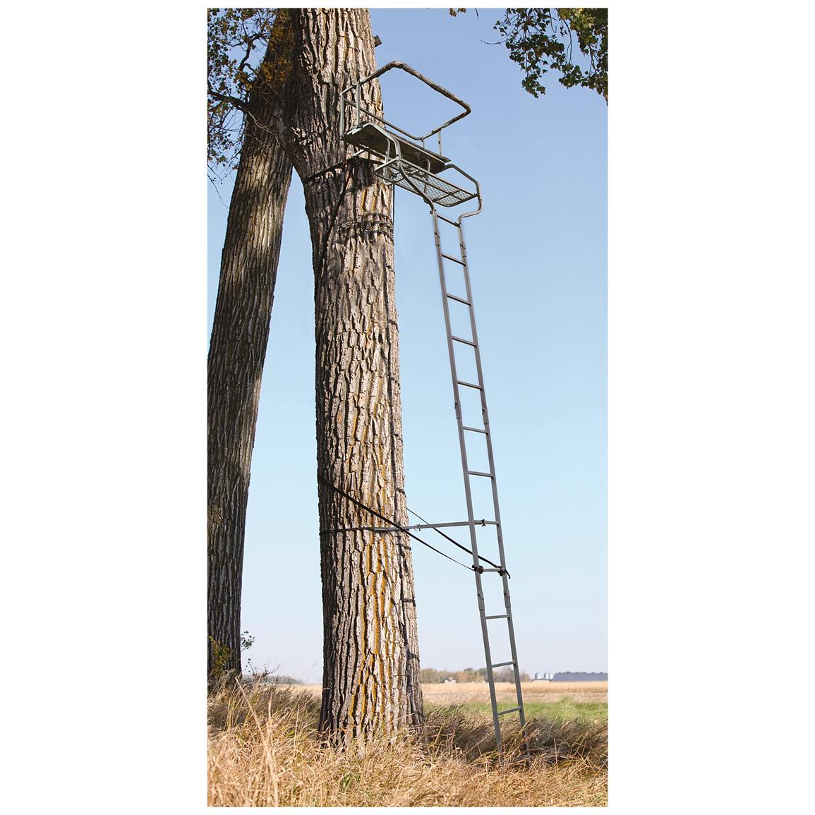10 Best Reasonably-Priced Deer Stand Options