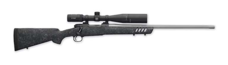 10 Varmint Rifles for Small to Medium Predator Animals