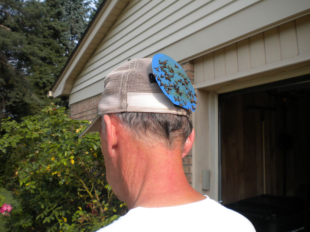 7 Photos of Outdoorsmen Dealing with Bugs - Wide Open Spaces