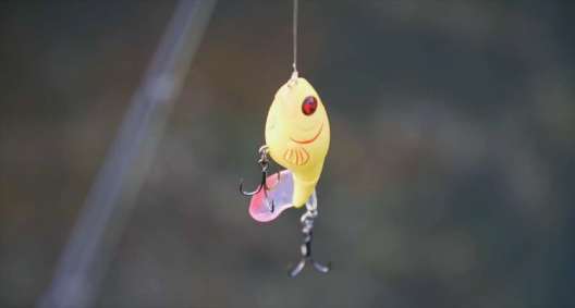 Sneak Peak at the New Whopper Plopper 75 - Wide Open Spaces