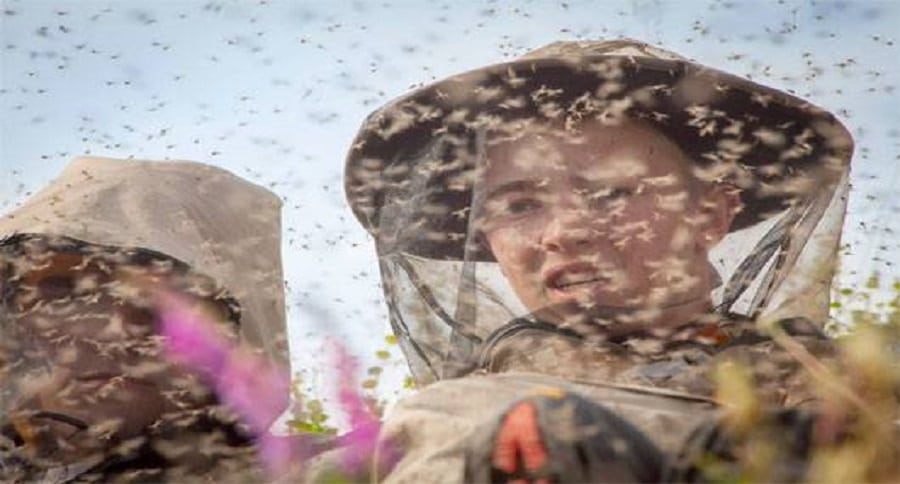 7 Photos of Outdoorsmen Dealing with Bugs - Wide Open Spaces