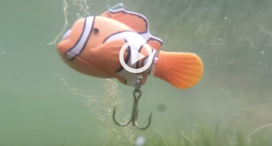 Video: Finding Nemo Toy Actually Makes for an Awesome Fishing Lure