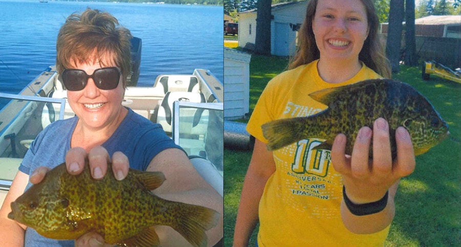 New State Record Blue Catfish in Delaware - Wide Open Spaces