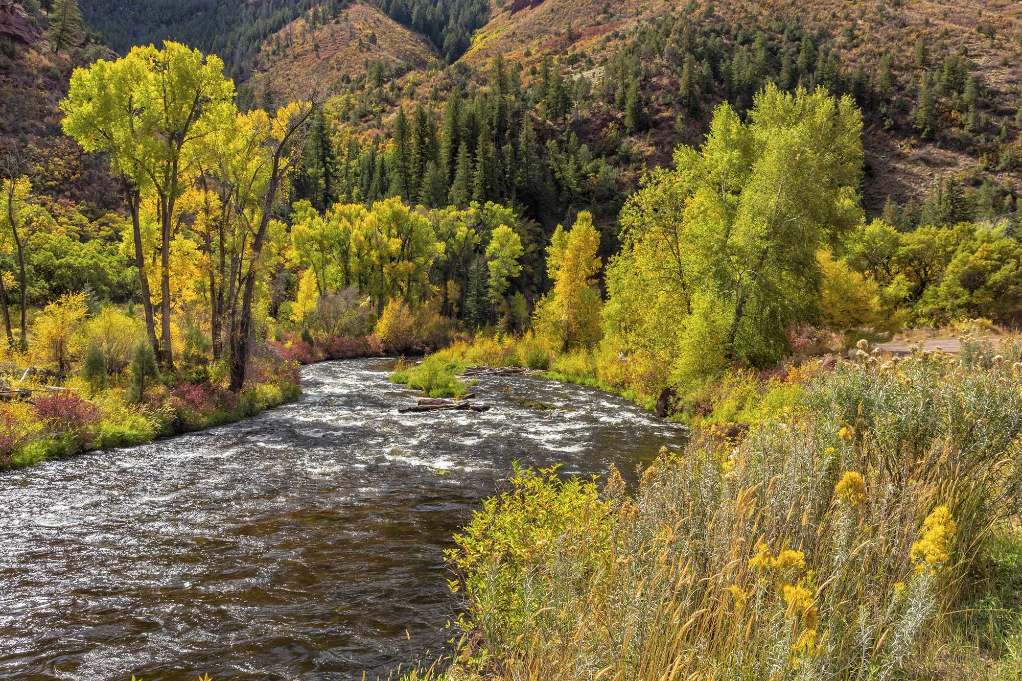 How to Read a River for Fishing Success - Wide Open Spaces