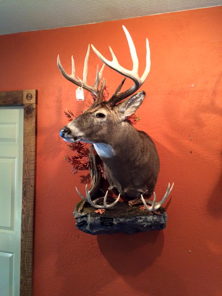 #WhitetailWednesday: 25 Unique Ideas for Your Next Whitetail Mount