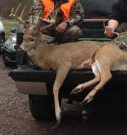 #WhitetailWednesday: 8 of the Strangest Deer Deformities Ever