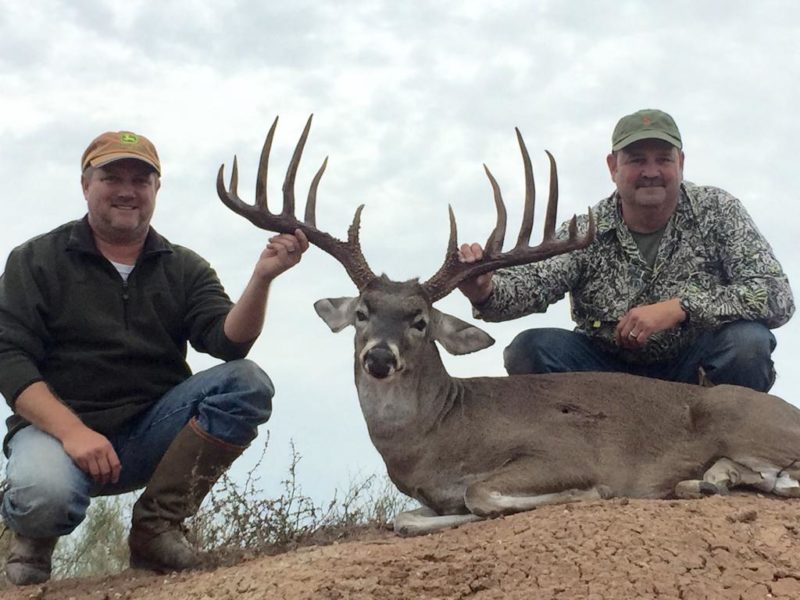 Top 5 Best Southern Whitetail Hunting States - Wide Open Spaces