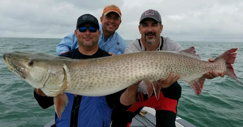 Giant Musky is Lake St. Clair All-Time Release Record - Wide Open Spaces
