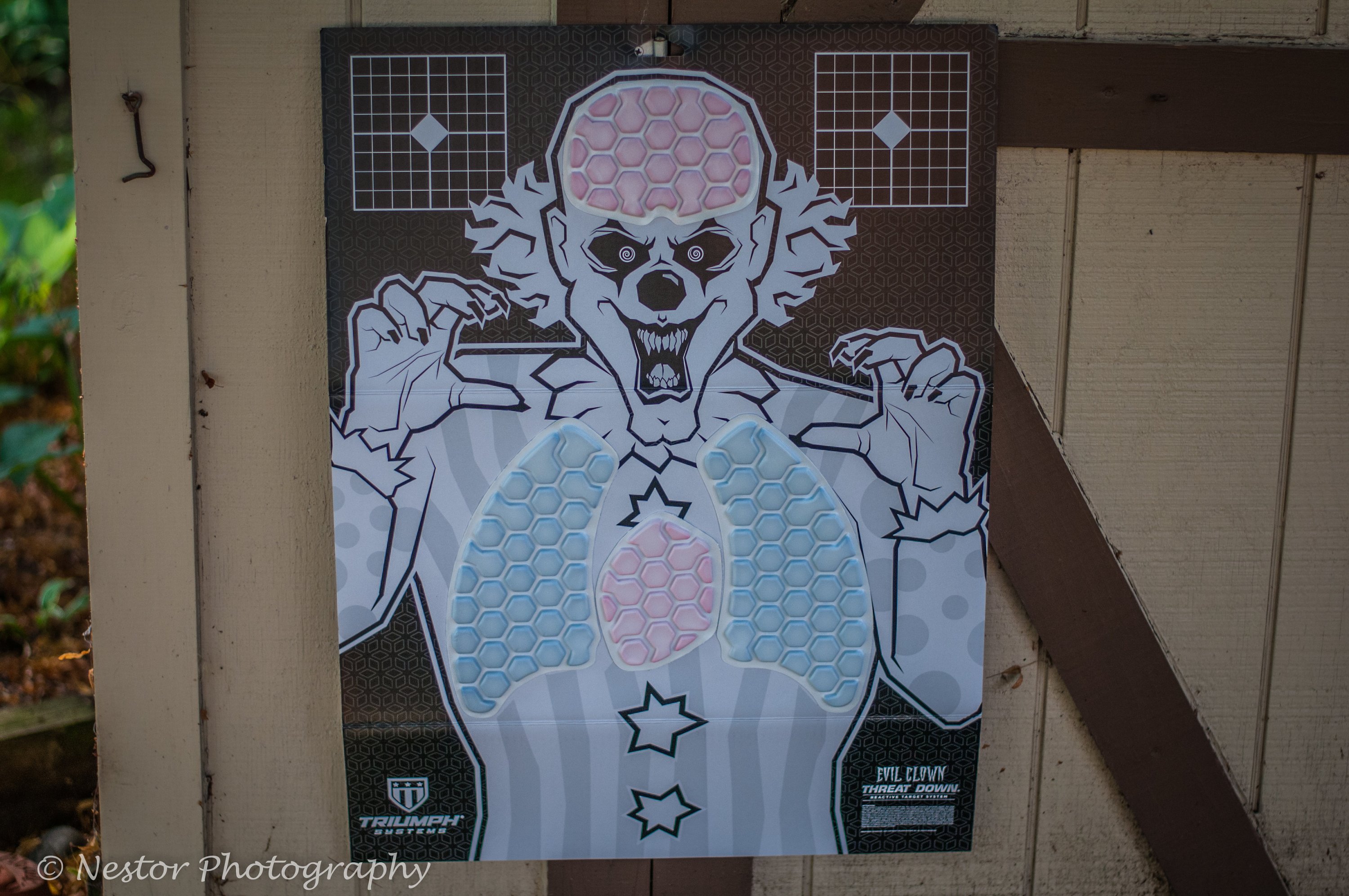 Range Time With the New Triumph Systems Reactive Targets - Wide Open Spaces
