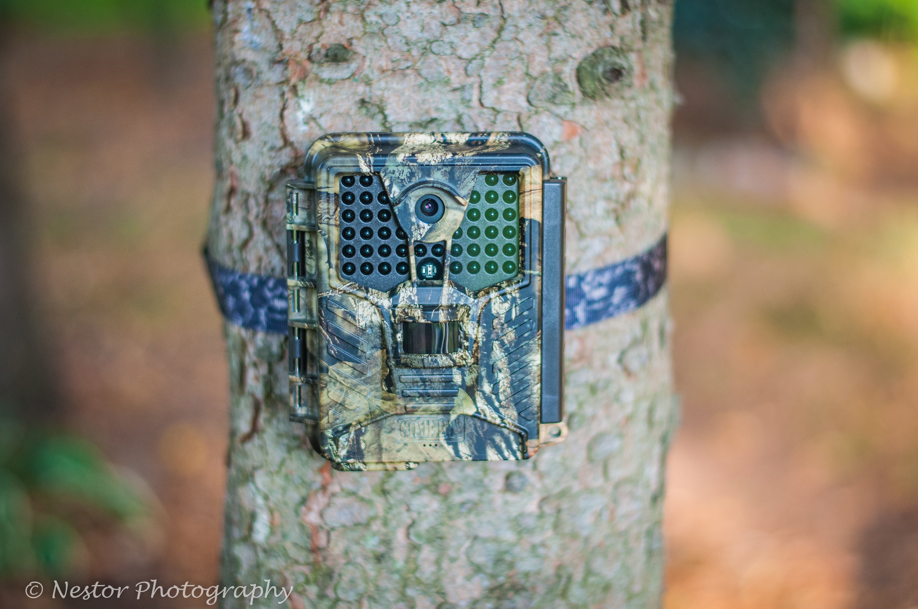 Covert Scouting Camera Review: The Ice Cam - Wide Open Spaces