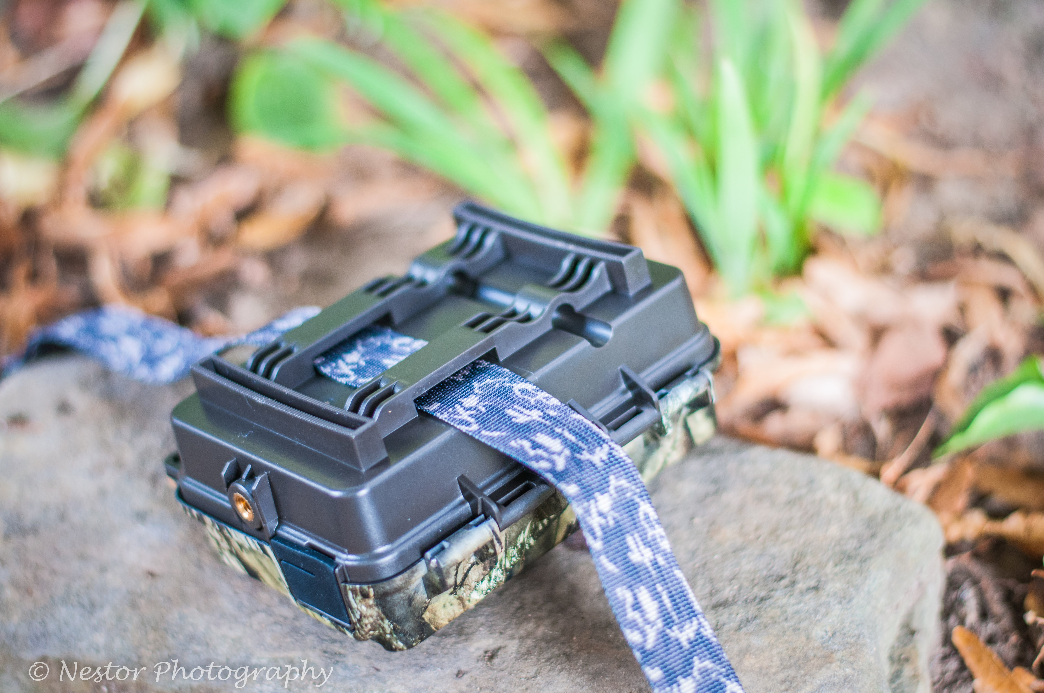 Covert Scouting Camera Review: The Ice Cam - Wide Open Spaces