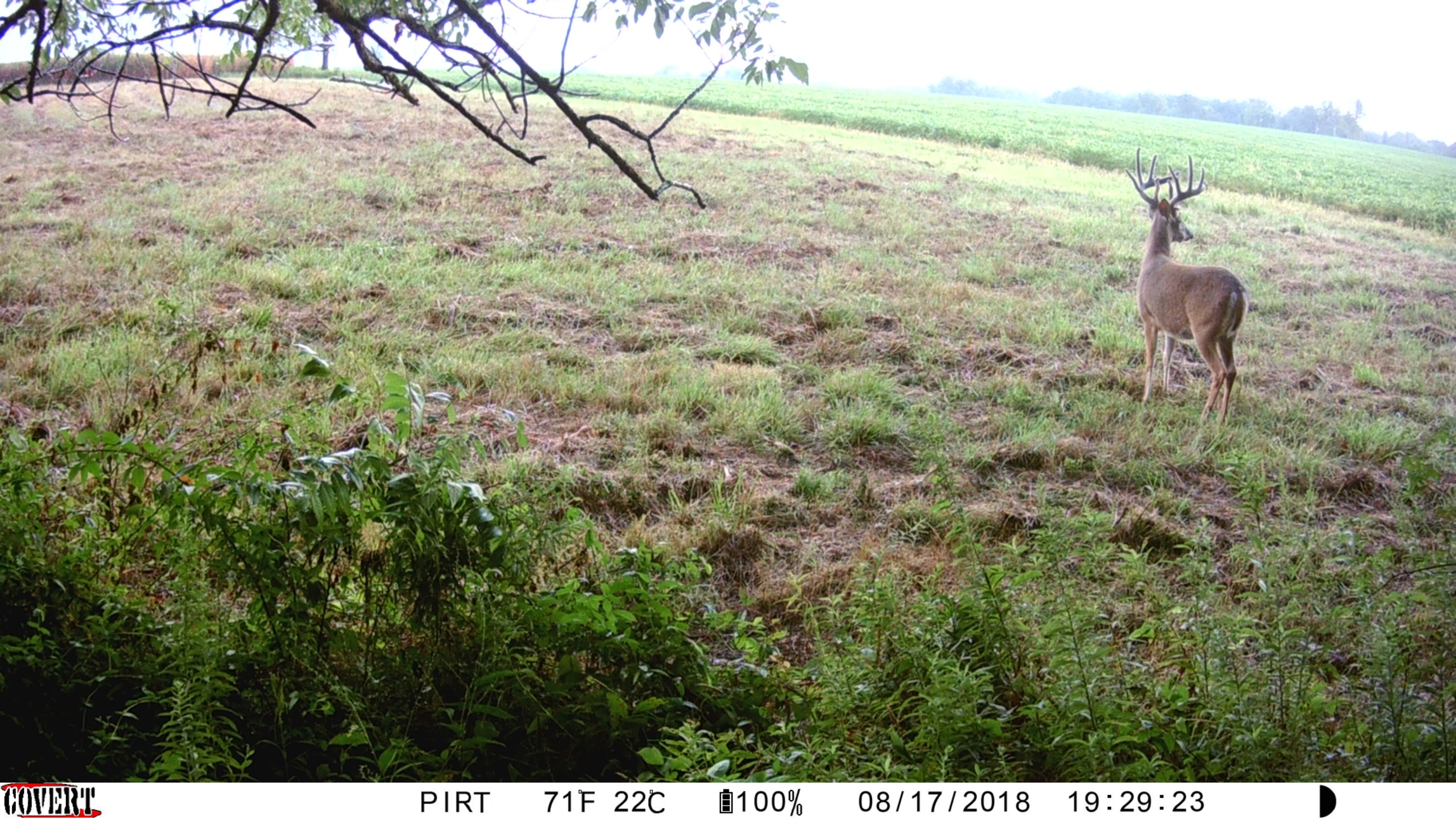 Covert's New ICE Cam is Effective and Affordable - Wide Open Spaces