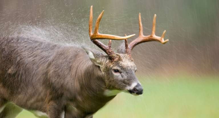 The Best Camo Rain Gear This Hunting Season - Wide Open Spaces