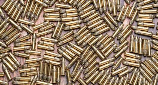 9 Best .22 Rifles for Plinking and Hunting in 2022