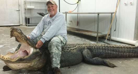 North Carolina Allows Alligator Hunting for First Time in Over 40 Years ...