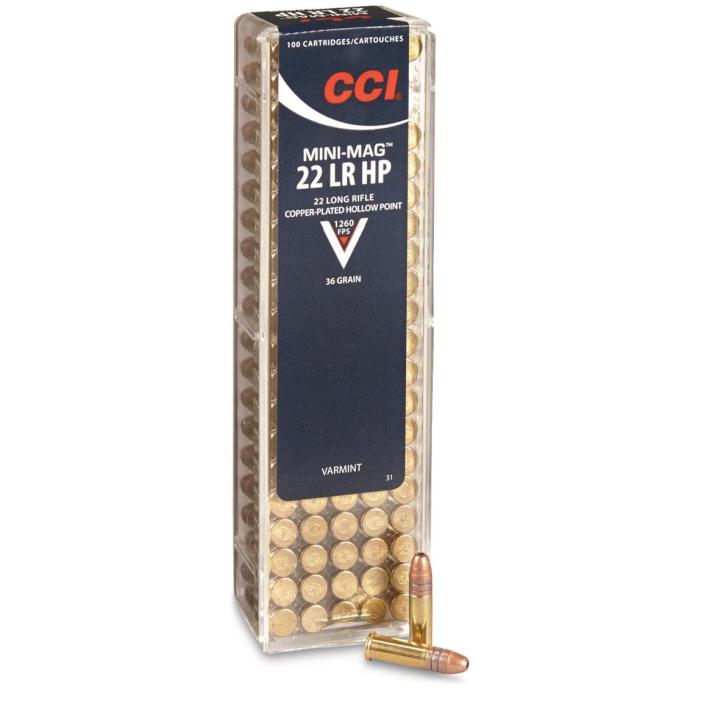 Solids vs. Hollowpoints: What Will You Load in Your .22 for Small Game ...