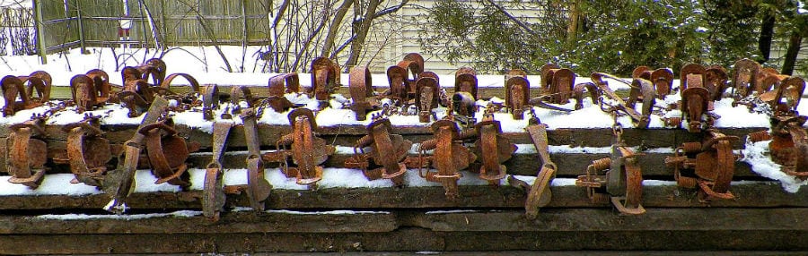 How to Traditionally Dye and Wax Traps for a More Successful Trapping ...