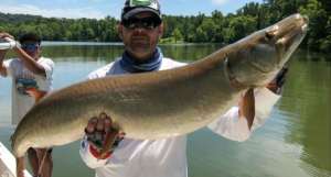 A New Tennessee State Record Muskie Has Just Been Caught! - Wide Open ...