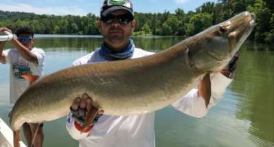 Big Muskies Go Airborne to Cross Wisconsin's Wingra Creek Dam - Wide ...