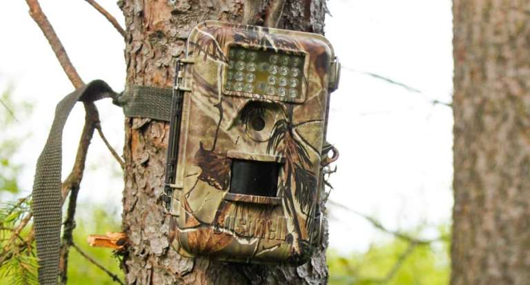 10 Unexplainable Things Captured on Trail Camera - Wide Open Spaces