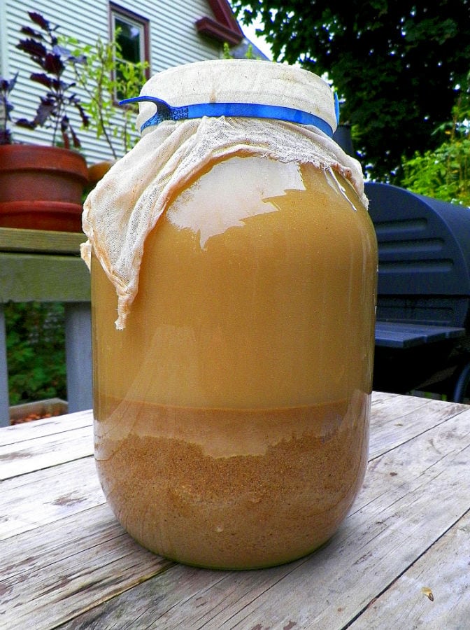 Make Your Own Acorn Flour for Baking Breads or Muffins - Wide Open Spaces