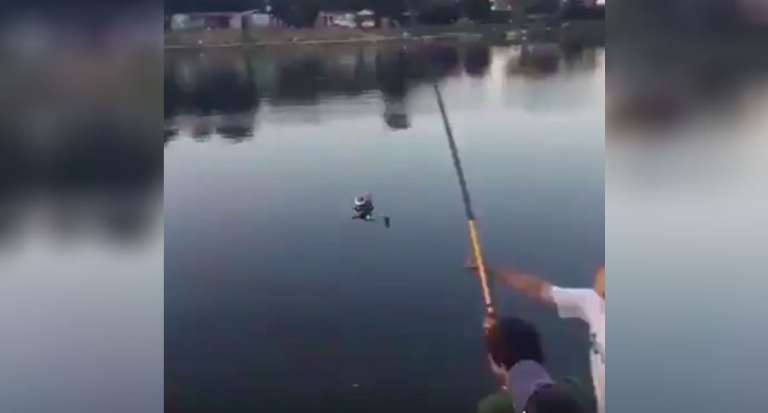 Roomba Inventor Unleashes "The Guardian" Robot to Suck Up Invasive ...