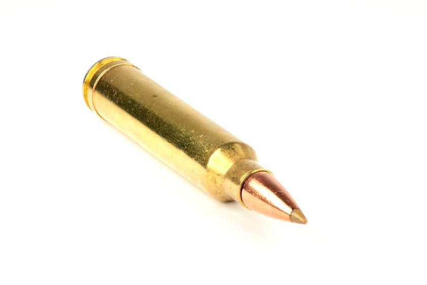 The .300 Win Mag Cartridge, and What It's Best For - Wide Open Spaces