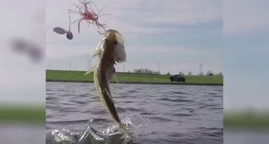 Here Are Some Awesome Bass Blow Ups Because Fishing - Wide Open Spaces