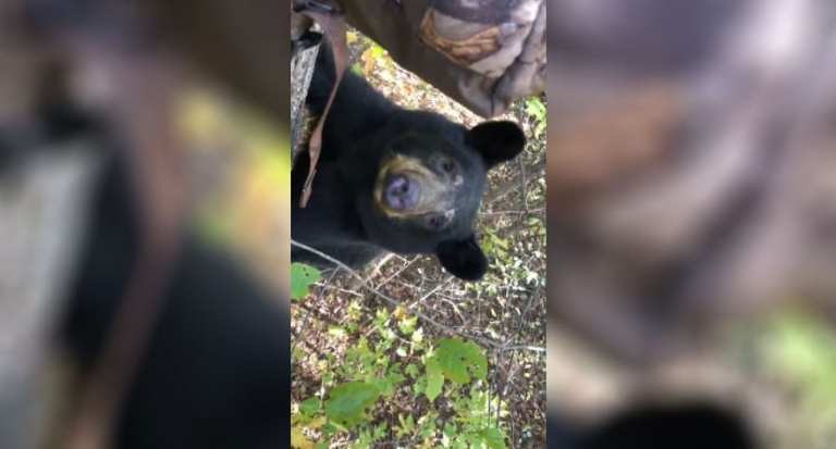 Top 20 Hunting Instagram Accounts You Should Be Following - Wide Open ...