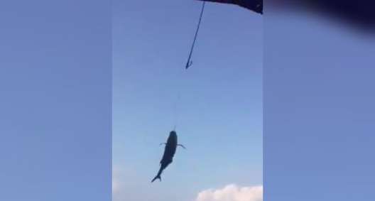 Video: Ever See Sportfishing Done With a Crane? - Wide Open Spaces