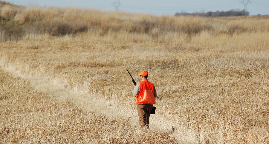 Bowhunting Fast Game Birds in Slow Motion is Absolutely Jaw Dropping ...