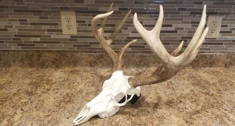 Are Mountain Mike's European Mounting Kits Worth It? - Wide Open Spaces