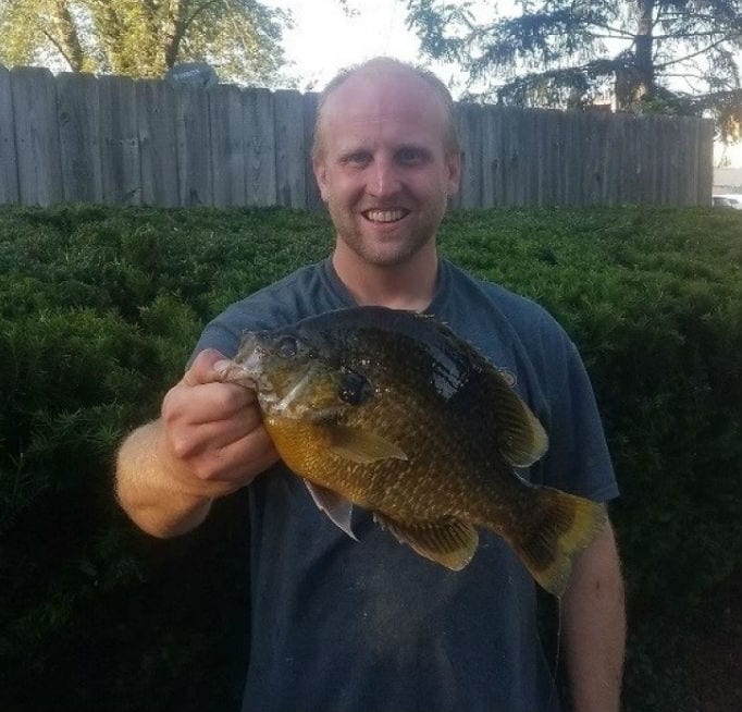 Michigan Angler Breaks 30-Year Old Hybrid Sunfish Record - Wide Open Spaces