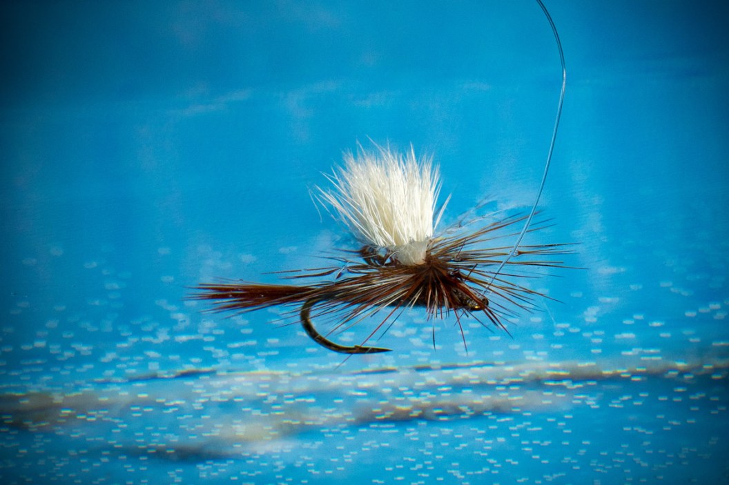 Best Flies for Trout Fishing That Have Stood Test of Time