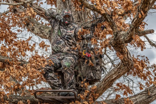 Treestand Safety: Tips to Avoid a Fall when Hunting from Above