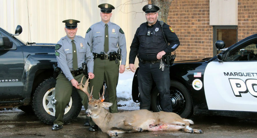 Poached 36-Point Buck Found in Illinois, Authorities Need Leads