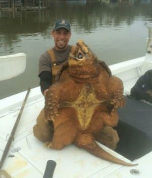 Alabama Man Catches Gigantic Alligator Snapping Turtle - Wide Open Spaces